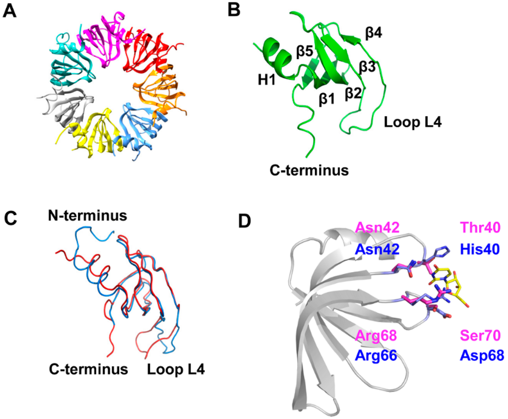 The Heptameric SmAP1 and SmAP2 Proteins of the Crenarchaeon Sulfolobus ...
