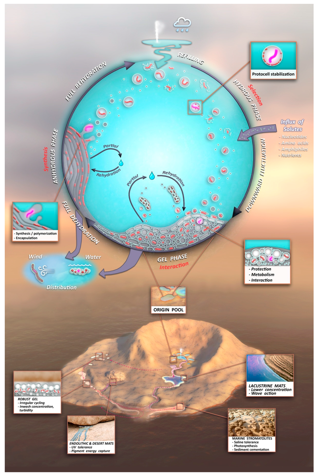 A Field Trip to the Archaean in Search of Darwin’s Warm Little Pond