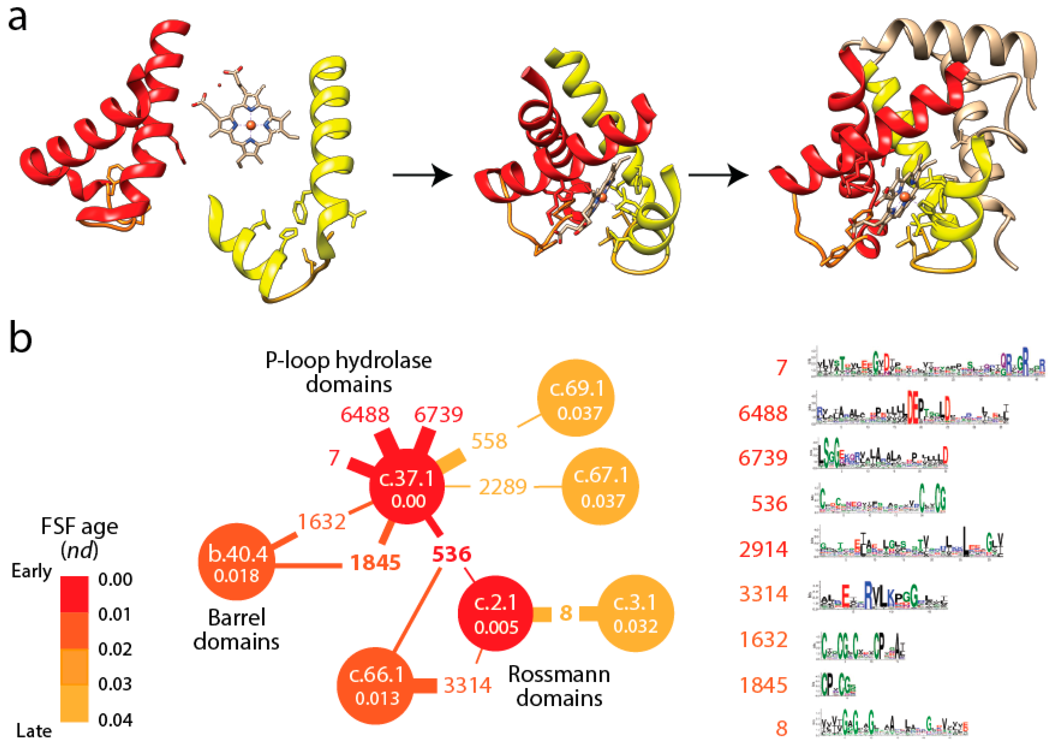 Piecemeal Buildup of the Genetic Code, Ribosomes, and Genomes from ...