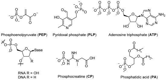 A Chemist’s Perspective on the Role of Phosphorus at the Origins of Life