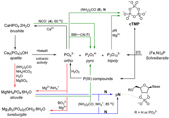 A Chemist’s Perspective on the Role of Phosphorus at the Origins of Life