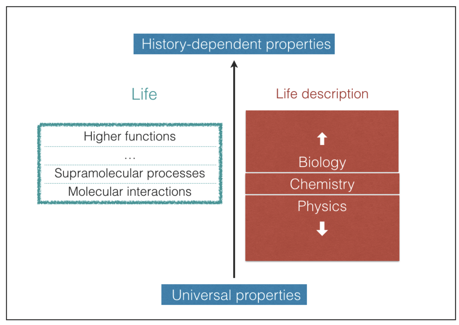 Hydrogen Bonds and Life in the Universe