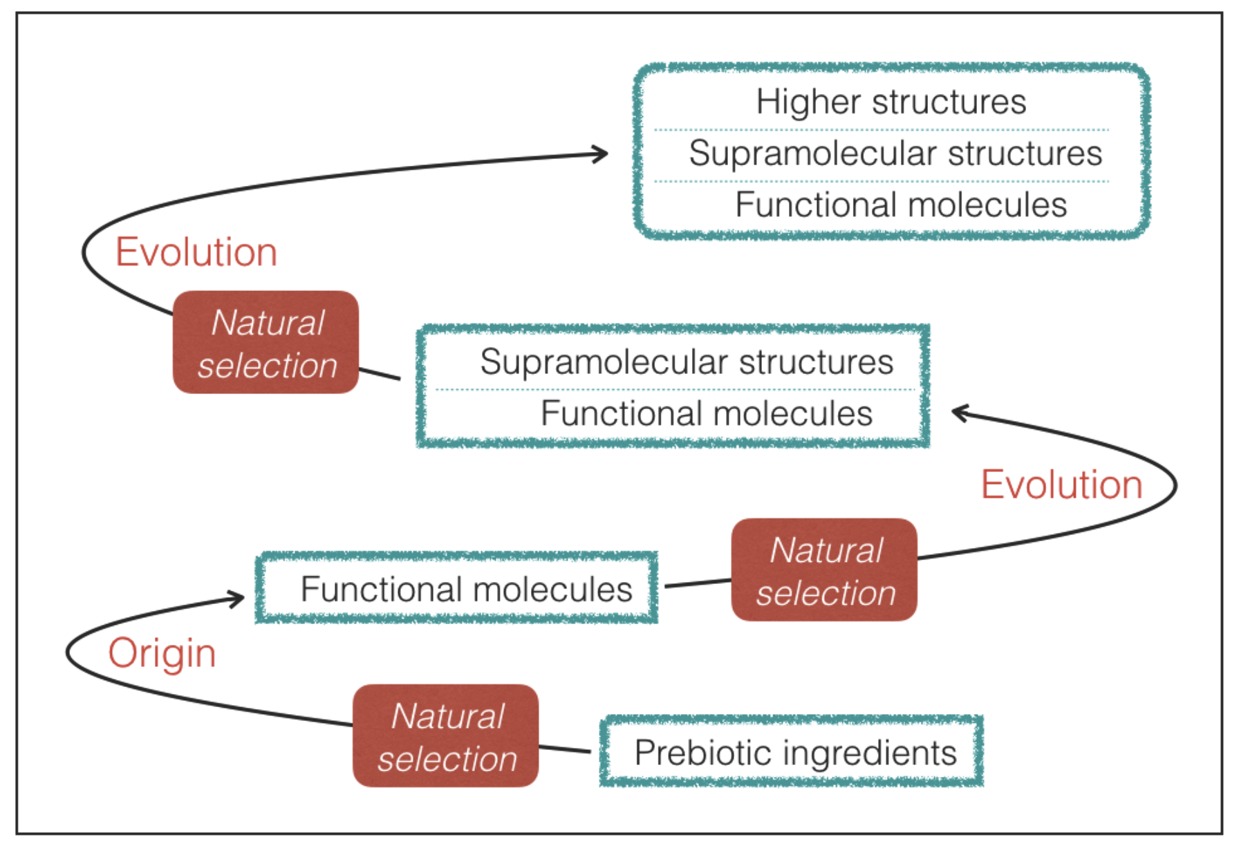 Hydrogen Bonds and Life in the Universe