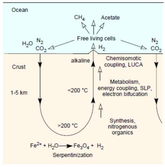Serpentinization: Connecting Geochemistry, Ancient Metabolism and ...