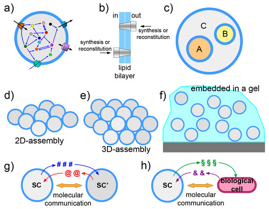 Is Research on “Synthetic Cells” Moving to the Next Level?