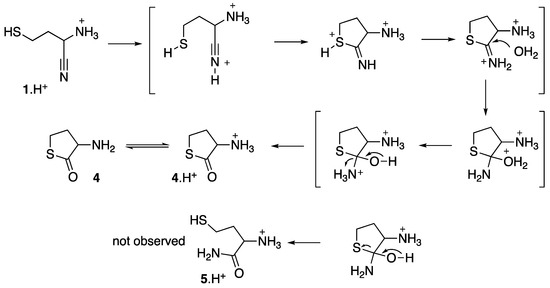 Chemistry of Homocysteine Thiolactone in A Prebiotic Perspective
