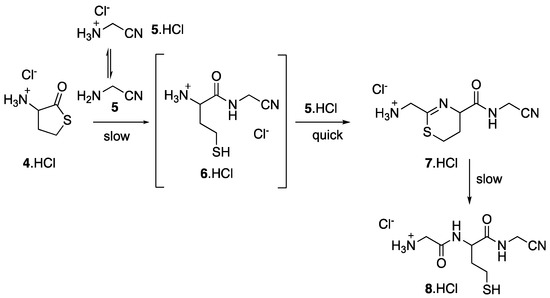 Chemistry of Homocysteine Thiolactone in A Prebiotic Perspective