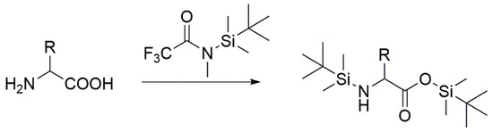 Evolutionary Steps in the Analytics of Primordial Metabolic Evolution
