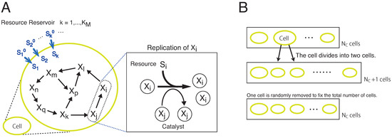 Life | Free Full-Text | Molecular Diversity and Network Complexity in ...