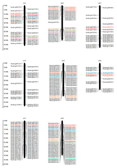 Genome-Wide Characterization, Evolution, and Expression Analysis of the ...