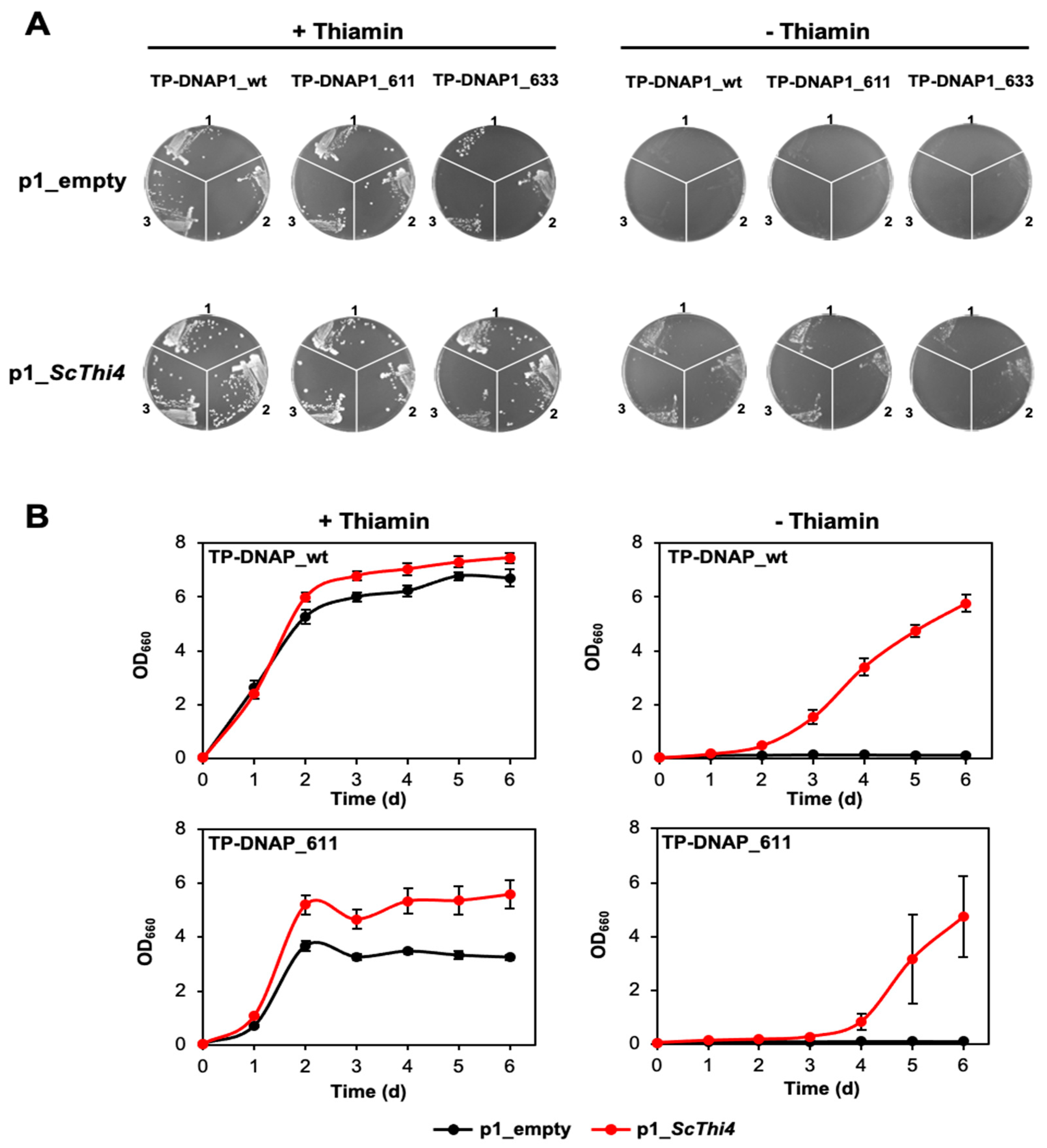 Potential for Applying Continuous Directed Evolution to Plant Enzymes ...