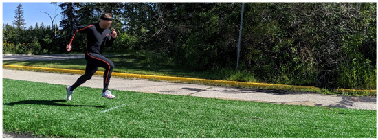 Life | Free Full-Text | Influence of Artificial Turf Surface Stiffness ...