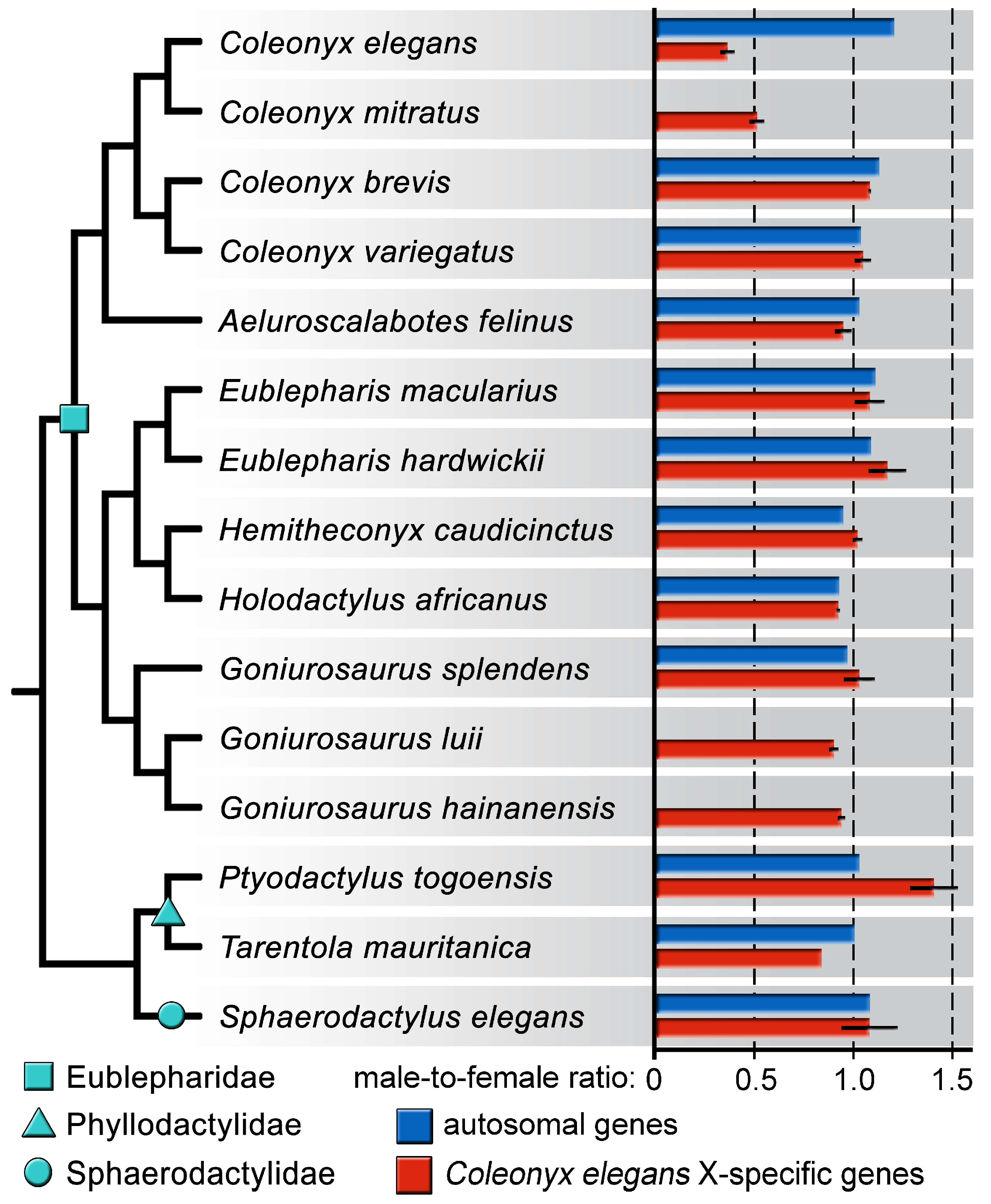 Life Free Full Text Independent Evolution Of Sex Chromosomes In
