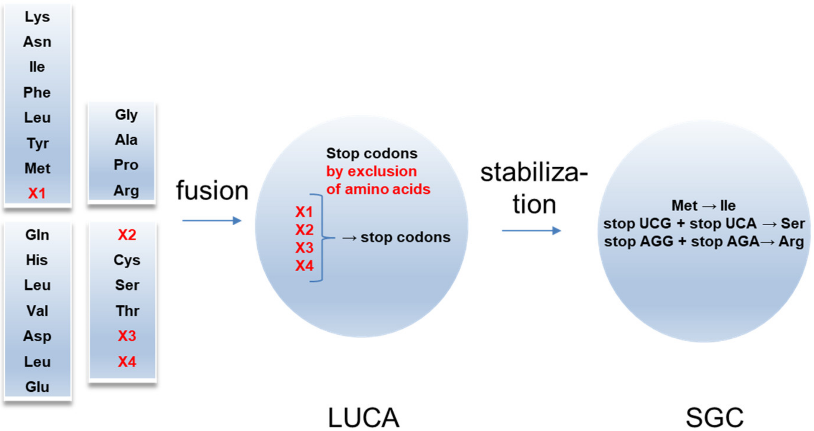 Life | Free Full-Text | Combinatorial Fusion Rules to Describe Codon ...