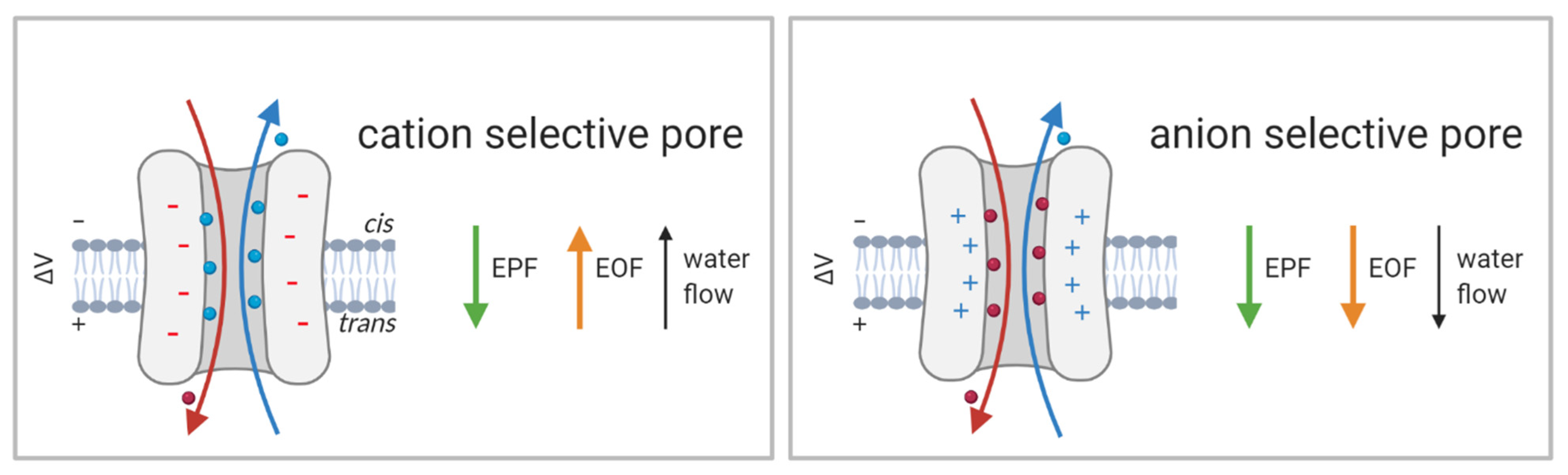 Biological Nanopores: Engineering on Demand