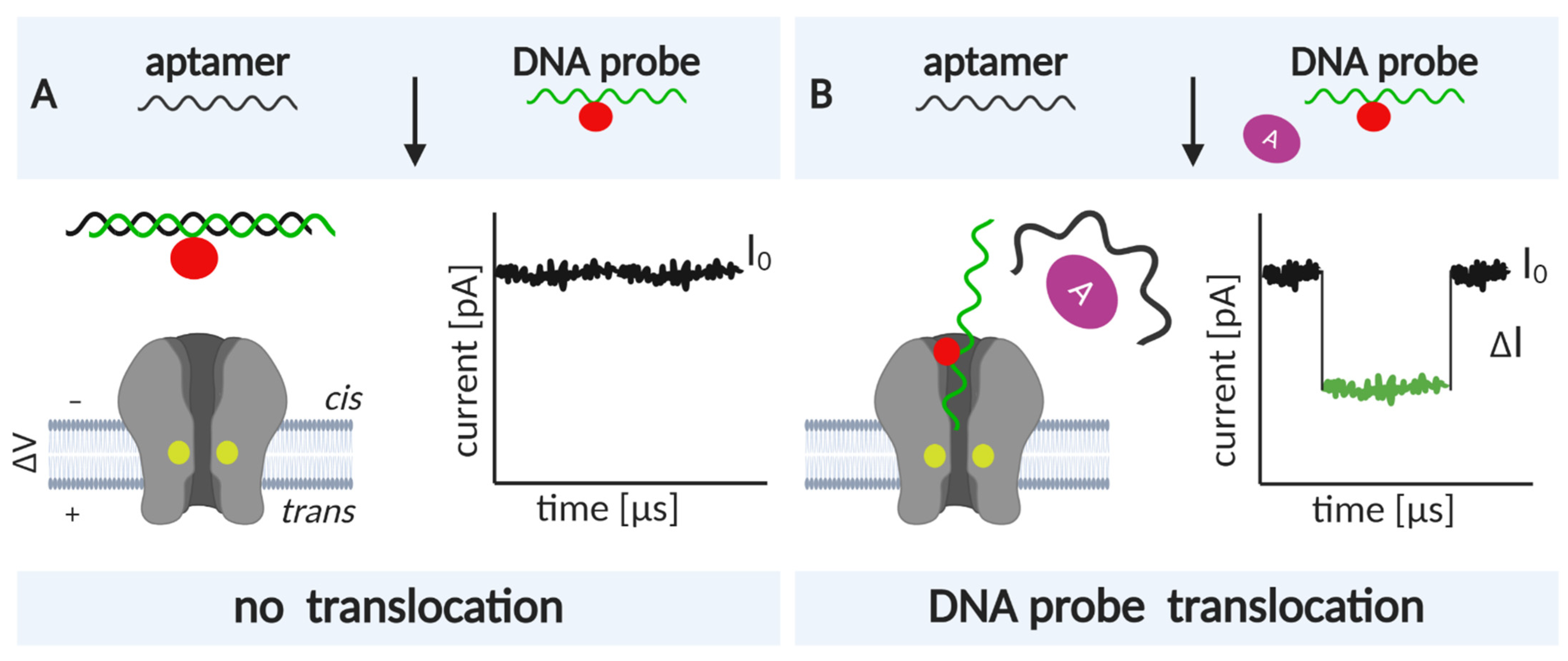 Biological Nanopores: Engineering on Demand