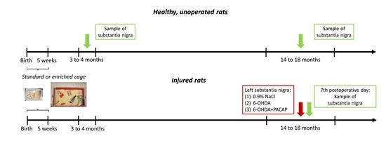 Life | Free Full-Text | Alterations of Nigral Dopamine Levels in Parkinson’s Disease after ...