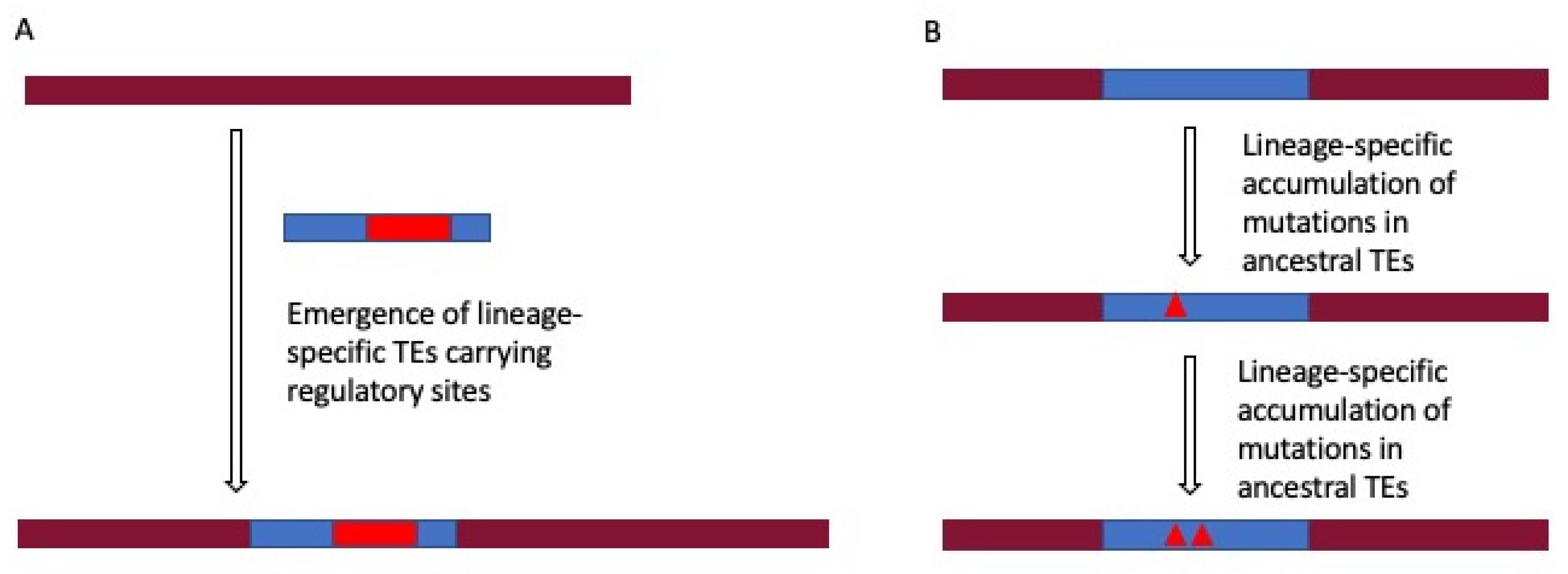 Life Free Full Text Role Of Transposable Elements In Gene