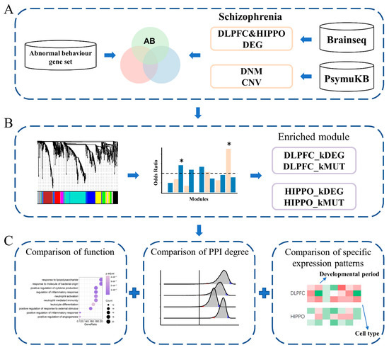 Life | Special Issue : Multi-Omics for the Understanding of Brain Diseases