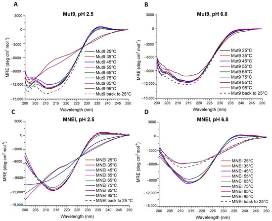A Super Stable Mutant of the Plant Protein Monellin Endowed with ...