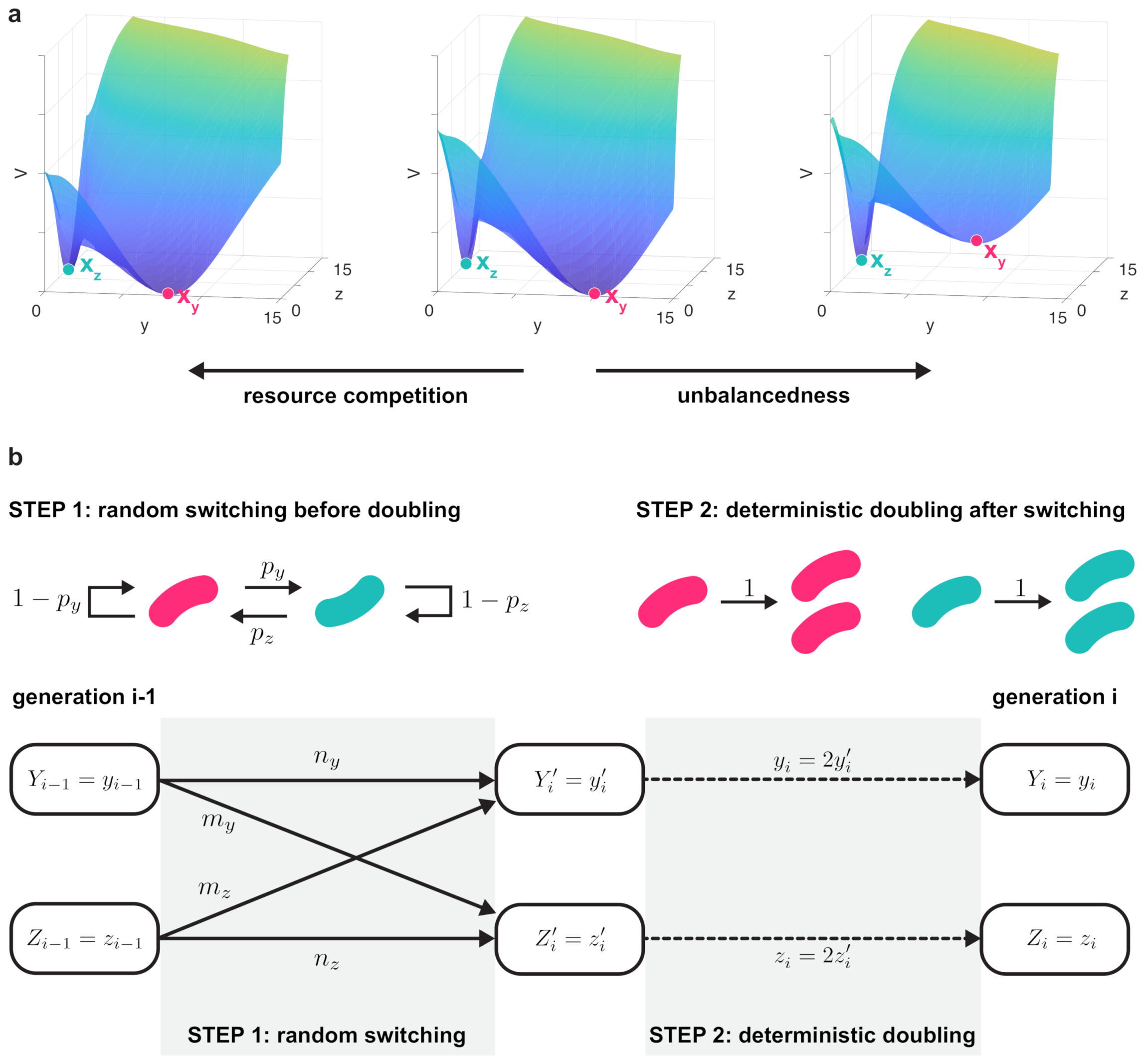 Stability and Robustness of Unbalanced Genetic Toggle Switches in the ...