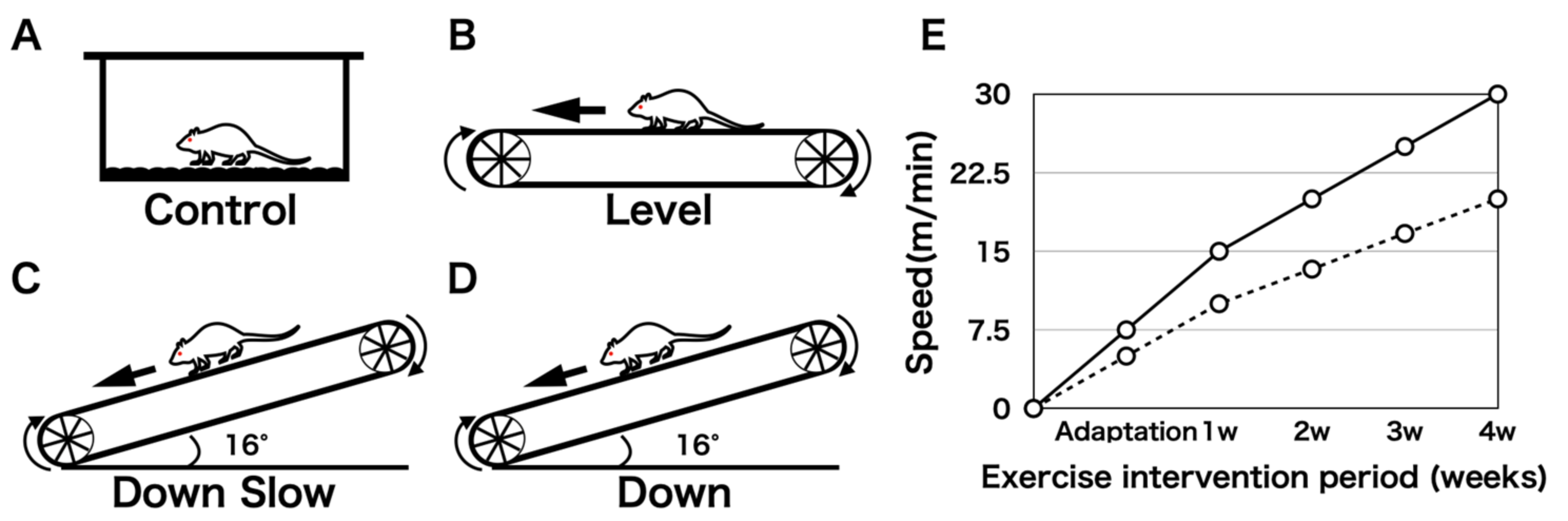 Effect of Various Types of Muscle Contraction with Different Running ...