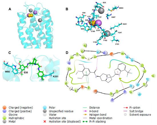Behavior of Chemokine Receptor 6 (CXCR6) in Complex with CXCL16 Soluble ...