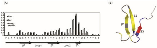 Life | Free Full-Text | Molecular Interactions between Two LMP2A PY ...