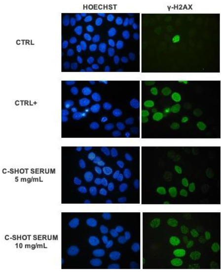 The Anti-Ageing and Whitening Potential of a Cosmetic Serum Containing ...