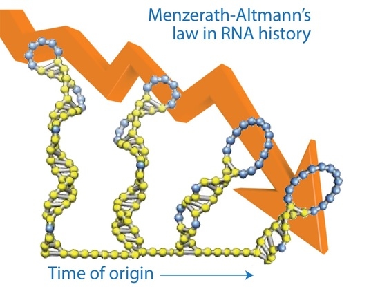 Life | Special Issue : 2020: A 10 Years Journey—Advances in Life Sciences