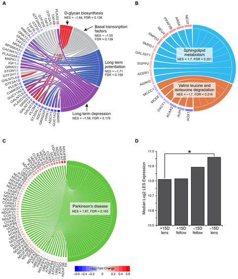 Electroretinography and Gene Expression Measures Implicate ...