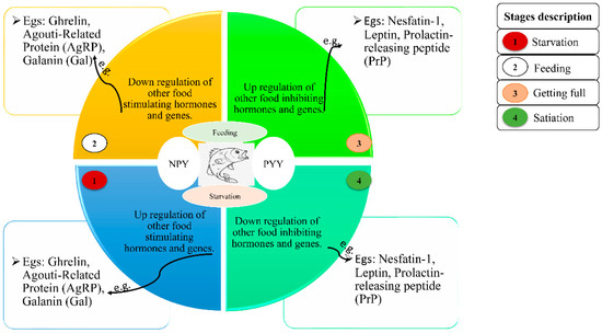 The Roles of Neuropeptide Y (Npy) and Peptide YY (Pyy) in Teleost Food ...