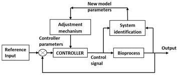 Bioprocess Control: Current Progress and Future Perspectives