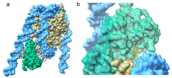 Structure, Activity and Function of the NSD3 Protein Lysine ...