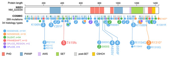 Structure, Activity and Function of the NSD3 Protein Lysine ...