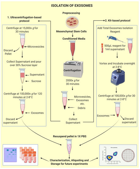 Mesenchymal Stem Cell-Derived Exosomes as an Emerging Paradigm for ...