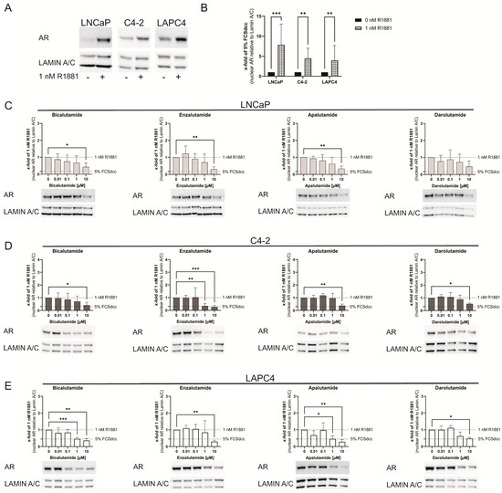 A Systematic Comparison of Antiandrogens Identifies Androgen Receptor ...