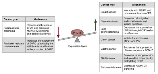 Structure, Activity and Function of the Protein Arginine ...