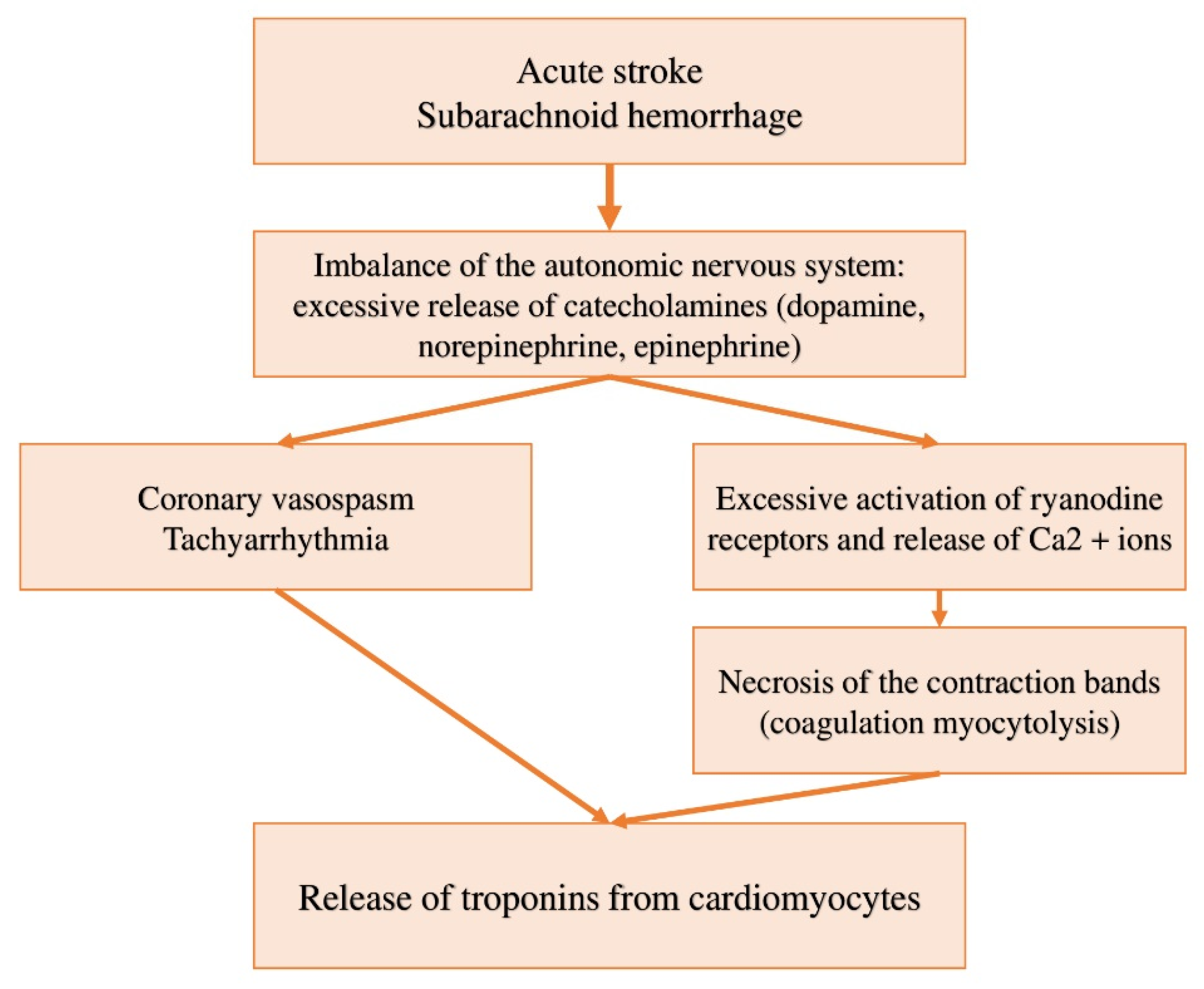 Life | Free Full-Text | Elevation Mechanisms and Diagnostic ...