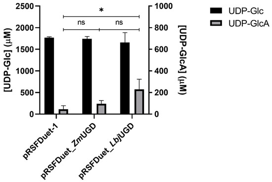 Cloning, Expression and Characterization of UDP-Glucose Dehydrogenases