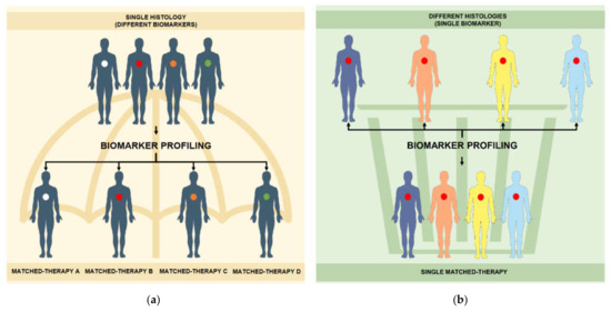 Master Protocols for Precision Medicine in Oncology: Overcoming ...