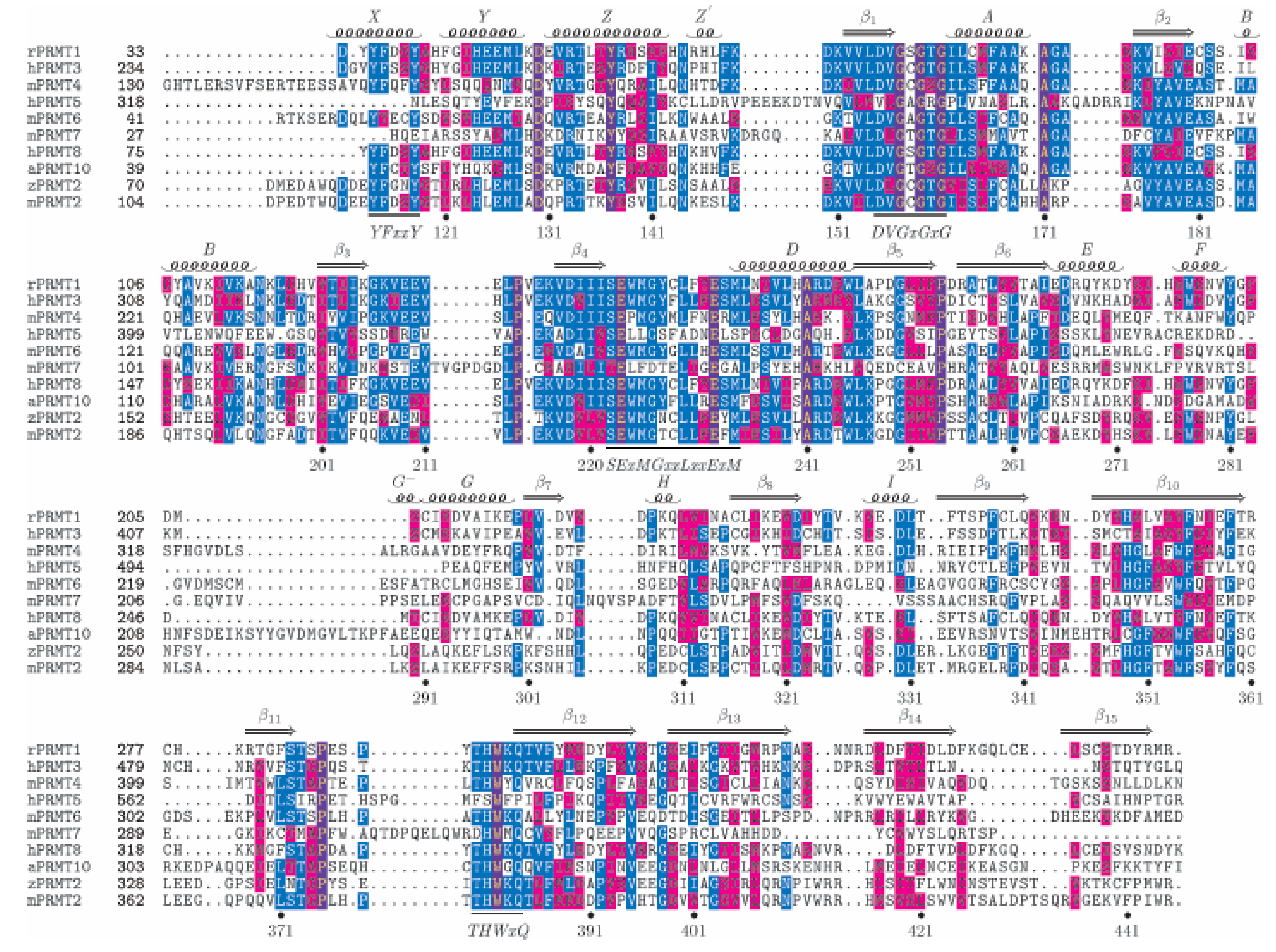 Structure, Activity and Function of the PRMT2 Protein Arginine ...