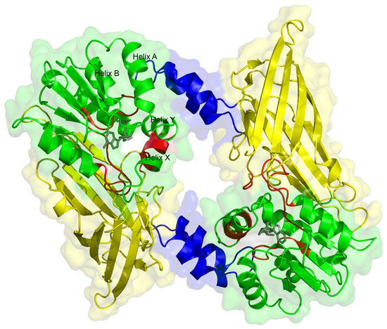 Structure, Activity and Function of the PRMT2 Protein Arginine ...