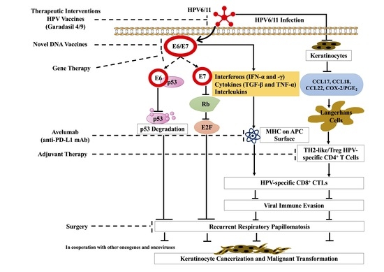 Life | Free Full-Text | HPV and Recurrent Respiratory Papillomatosis: A ...
