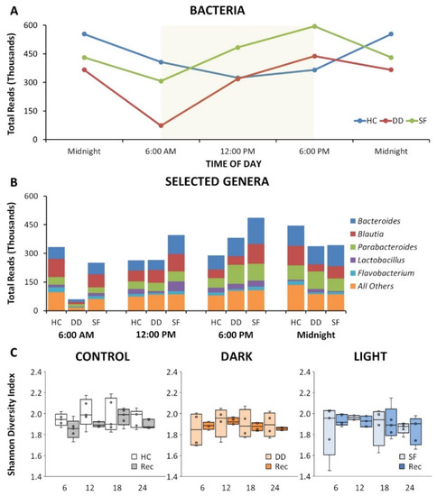 Differential Effect of Light and Dark Period Sleep Fragmentation on ...
