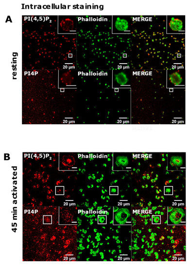 Imaging of Intracellular and Plasma Membrane Pools of PI(4,5)P2 and ...