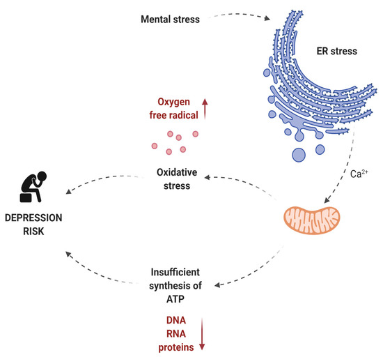 Cellular Response to Unfolded Proteins in Depression