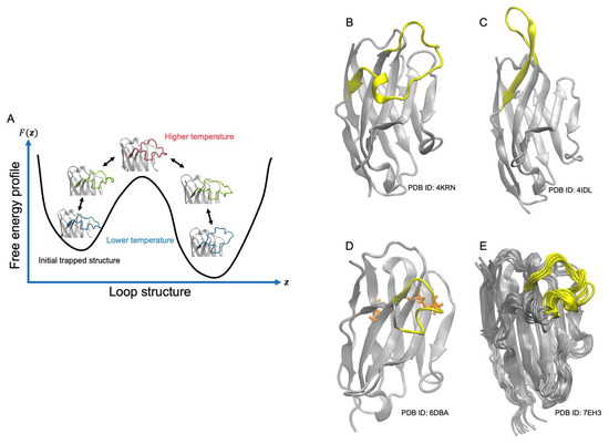 Enhanced Conformational Sampling of Nanobody CDR H3 Loop by Generalized Replica-Exchange with ...