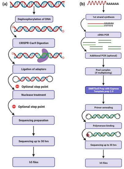 Third-Generation Sequencing: The Spearhead towards the Radical ...