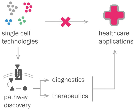 Challenges and Opportunities for the Translation of Single-Cell RNA ...
